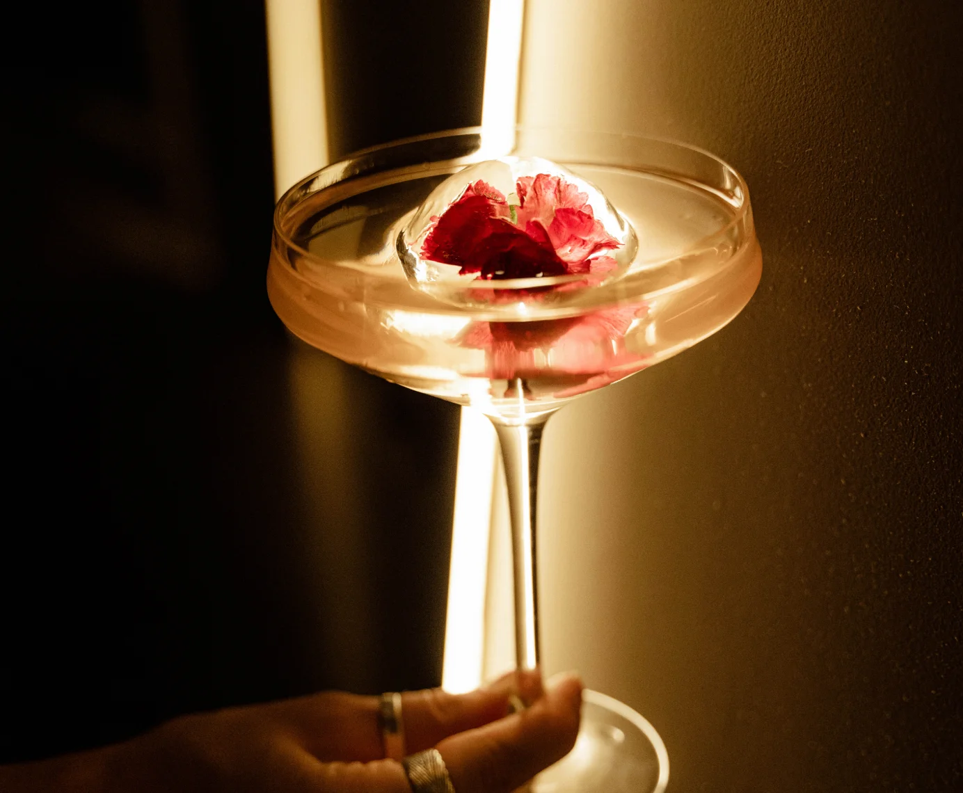 Timeless — Magical Website with WebGL and 3D Portals — Chipsa